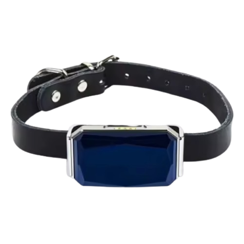 Best 5 Dog Tracker Devices for Your Furry Friend (2025)