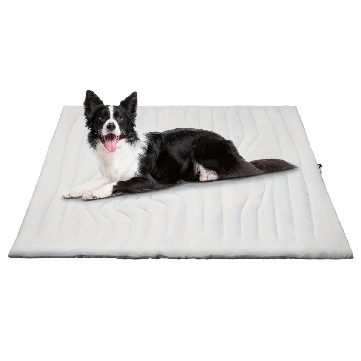 Best 5 Cooling Mats for Dogs in 2026: Veterinarian-Recommended